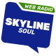 SKYLINE TV - Diretta TV in streaming in full HD